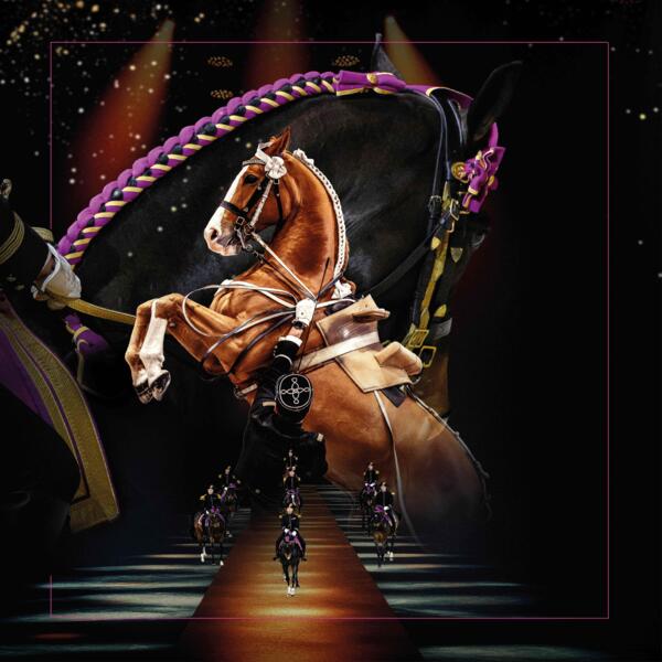 GALA DESTINS LIÉS - MAI 2026